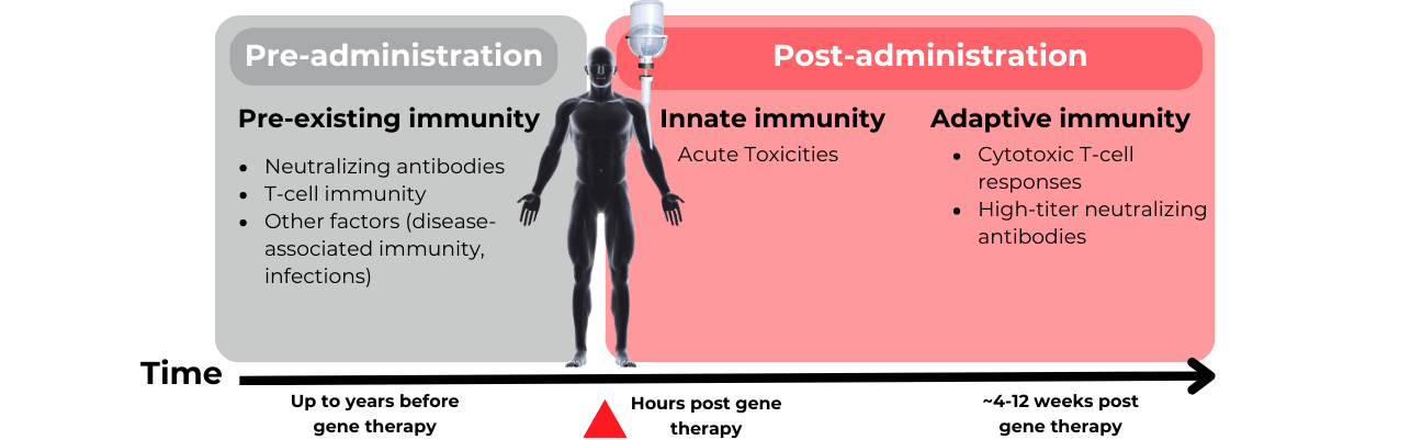 Gene Therapy in Hemophilia B | CSL Behring Medical Affairs